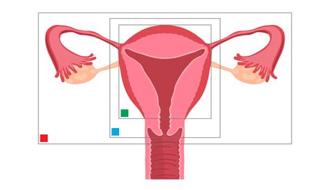 Cắt tử cung bán phần có thai được không Câu trả lời quyết định đời bạn