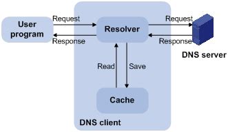Dynamic Domain Name Resolution