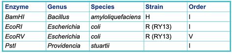 Restriction Enzymes Snapgene
