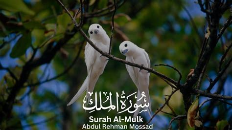 Surah Al Mulk The Sovereignty Mishary Rashid Alafasy