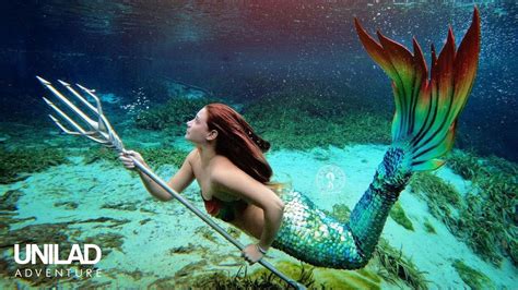 An Incredible Compilation Of Authentic Mermaid Photos Over 999 Real