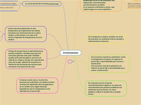 La Homeostasis Mind Map