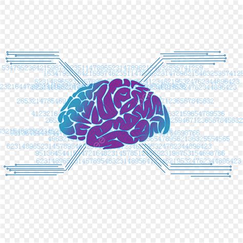Creative Brain PNG Transparent Creative Brain Brain Clipart