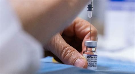 Covid In Arrivo I Nuovi Vaccini Aggiornati Contro Omicron Speranza