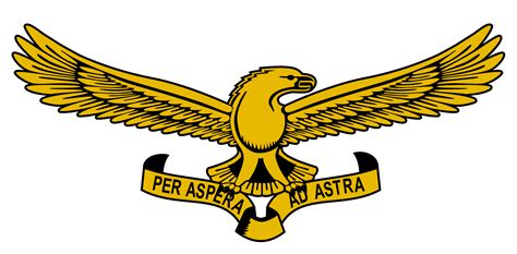 South African Air Force Symbol
