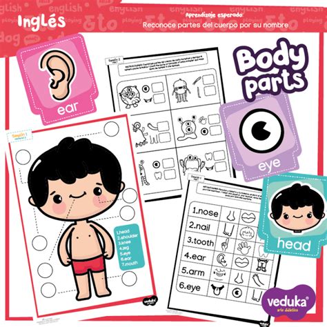 Aguas con el agua Juego interactivo veduka Veduka Arte Didáctico