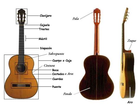 Partes De La Guitarra Cu Les Son Y Para Qu Sirvencon Im Genes