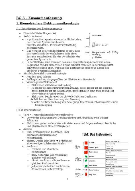 Zusammenfassung BC3 für MBT BC 3 Zusammenfassung 1 Biomolekulare
