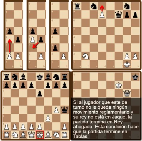 Conoce las REGLAS BÁSICAS del AJEDREZ Juega como un PRO