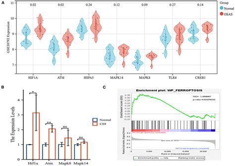 Frontiers Identification And Validation Of 49 OFF