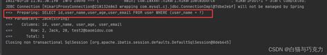 mybatis plus 中的lambdaquerywrapper示例详解 querywrapper参数 csdn博客