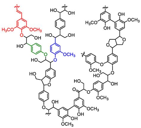 Polymers Free Full Text Recent Advances In The Investigation Of