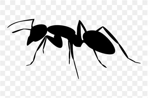 Ant Png Sticker Illustration Transparent Free Png Rawpixel