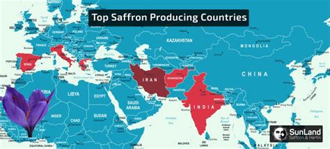 Aeroponics And Hydroponics Saffron Cultivation Methods The Official