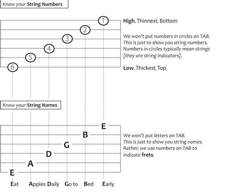 Guitar String Numbers Atelier Yuwa Ciao Jp