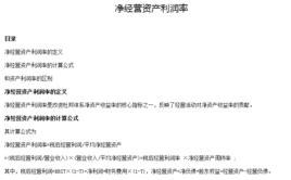 净经营资产利润率图册 360百科