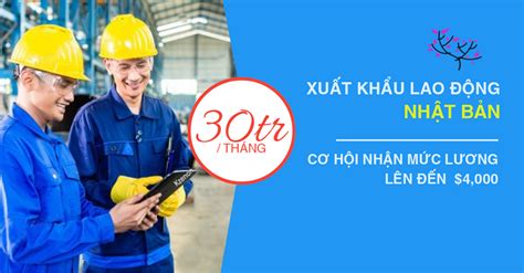 Banner C Ng Ty Cp Xu T Kh U Lao Ng Ch U