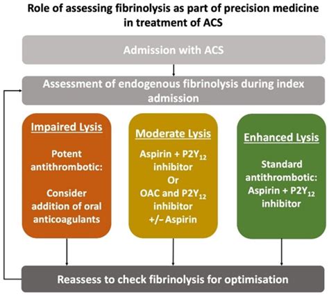 JCM Free Full Text Precision Treatment In ACSRole Of Assessing