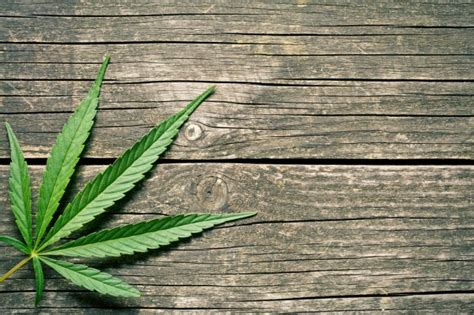 ADICCIÓN AL CANNABIS Linares Nevado Psicología