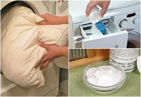 C Mo Desinfectar El Colch N De Una Cama Usada Por Un Paciente Con