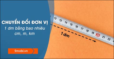 1 dm bằng bao nhiêu cm mm m Đổi dm sang m