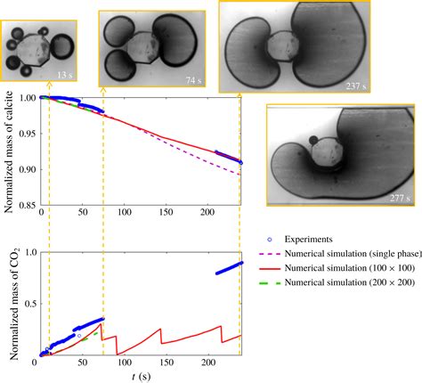 pore scale modelling of multiphase reactive flow application to mineral dissolution with