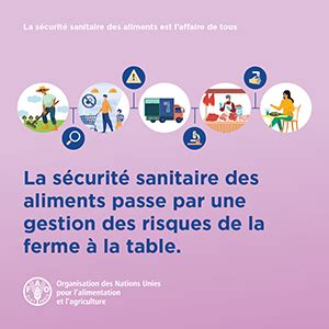 Questions réponses sur la sécurité sanitaire des aliments Sécurité