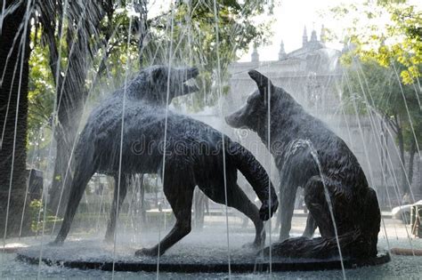 Fuente De Los Coyotes En El Cuarto De Coyoacan Ciudad De M Xico