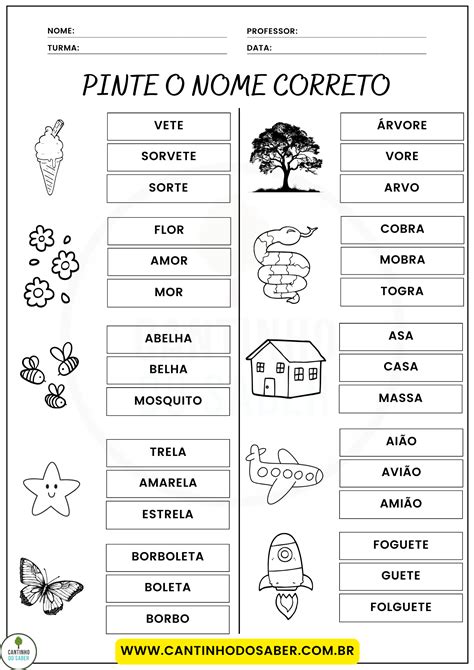 ATIVIDADES PINTE O NOME CORRETO PARA ENSINO FUNDAMENTAL Guia Da