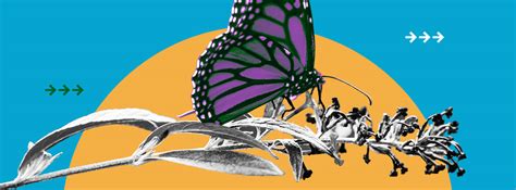 Pourquoi la biodiversité est importante Nations Unies