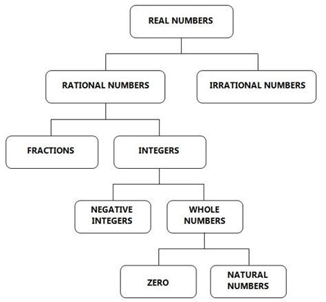 real number system real number system real numbers number system worksheets