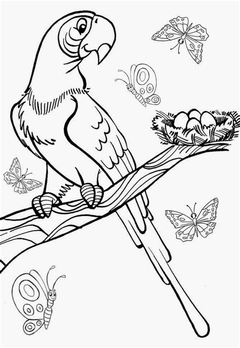 BAUZINHO DA WEB BAÚ DA WEB Desenhos de arara para colorir pintar
