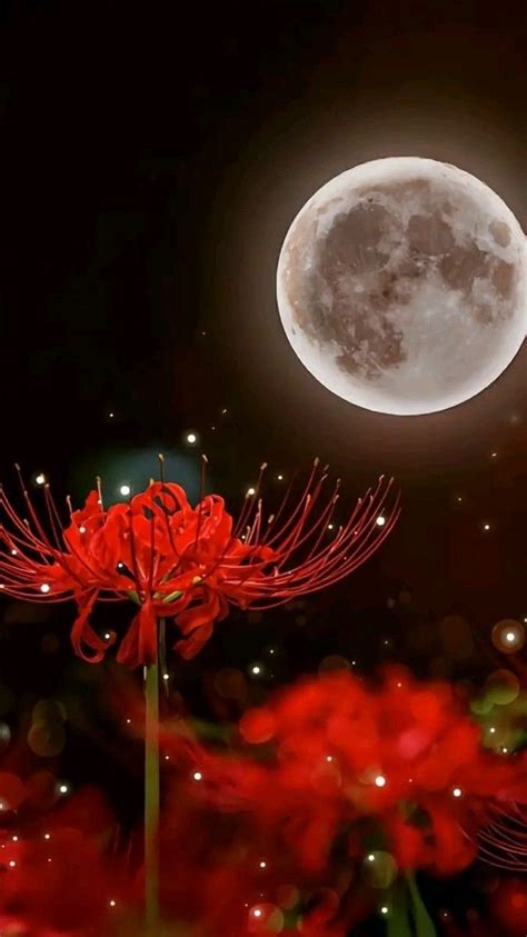 Pin By Jacky Zavaleta On Kellan Luzt 25 In 2024 Lily Wallpaper