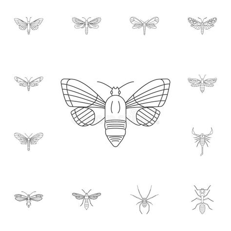 Butterfly Icon Simple Element Illustration Butterfly Symbol Design