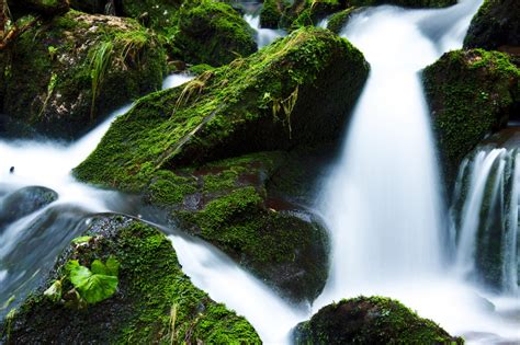 Images Gratuites Paysage Arbre Eau La Nature Roche Cascade