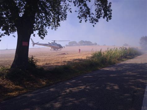 Vasto Incendio A Osimo Campo A Fuoco Sul Posto L Elicottero Dei Pompieri