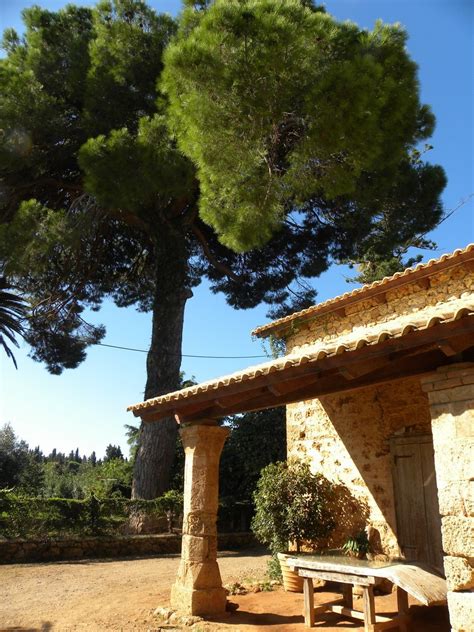 Mercouri Estate Winery Near Katakolon Greece This Was Just Lovely