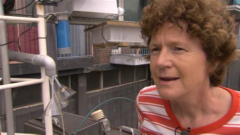 Dit Is Een Van De Smerigste Plekken Van Nederland