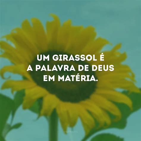 Frases De Girassol E Deus Que V O Renovar Sua F E Esperan A