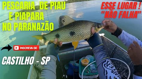 PESCARIA DE PIAU E PIAPARA NO PARANAZÃO EM CASTILHO SP NA POUSADA