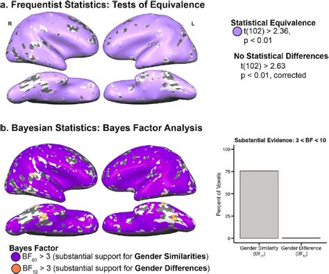 whole brain analyses a frequentist statistical tests of gender download scientific diagram
