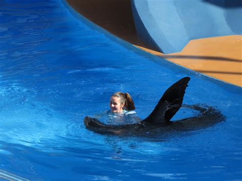 Img Seaworld Parks Rock Flickr