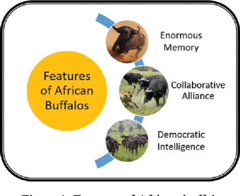 figure 1 from fault coverage based test case prioritization and selection using african buffalo