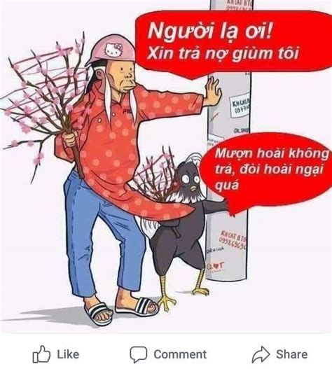 Top những ảnh chế Tết hài hước vui nhộn và mới nhất năm 2022