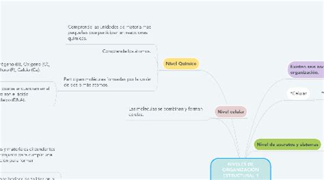 NIVELES DE ORGANIZACIÓN ESTRUCTURAL Y SISTEMAS CO MindMeister Mapa