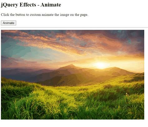 JQuery Animate Using Different Ways