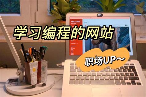自学编程难吗？分享令人惊艳的编程学习网站，0基础小白入门编程无压力！（最新自学编程指南） 知乎