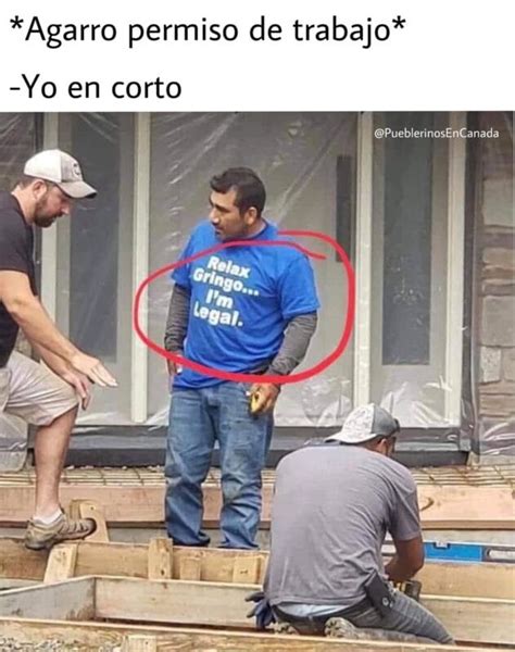R E Con Los Mejores Memes De La Semana En Conexi N Migrante