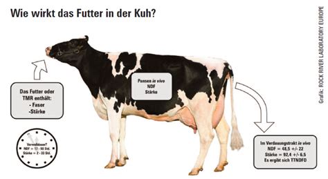 Wissenwertes