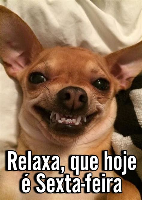 Hoje é Sexta feira Imagens engraçadas e Frases para Alegrar o Dia